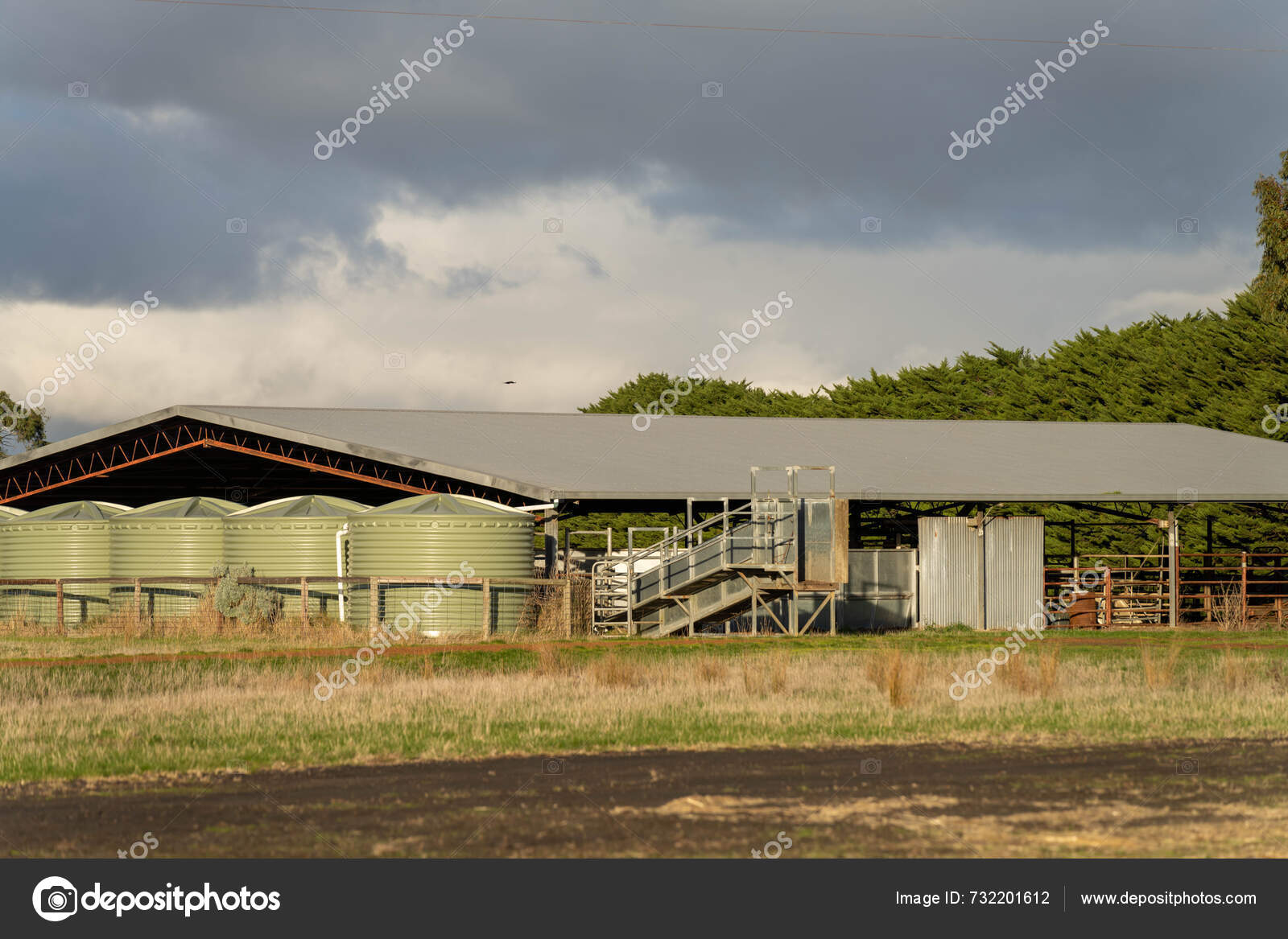Cattle Yards Farm Roof Plastic Water Tanks Them — Stock Photo © wedge ...