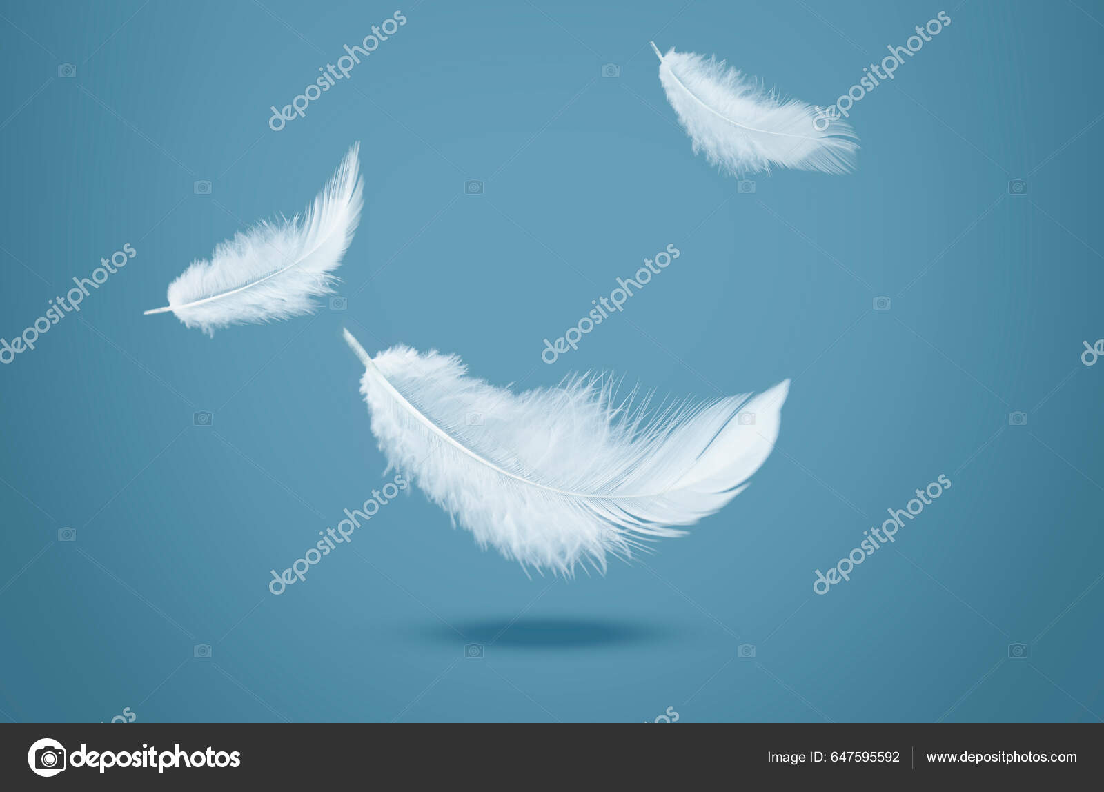 Abstract White Bird Feathers Falling Air Feathers Floating Heavenly ...