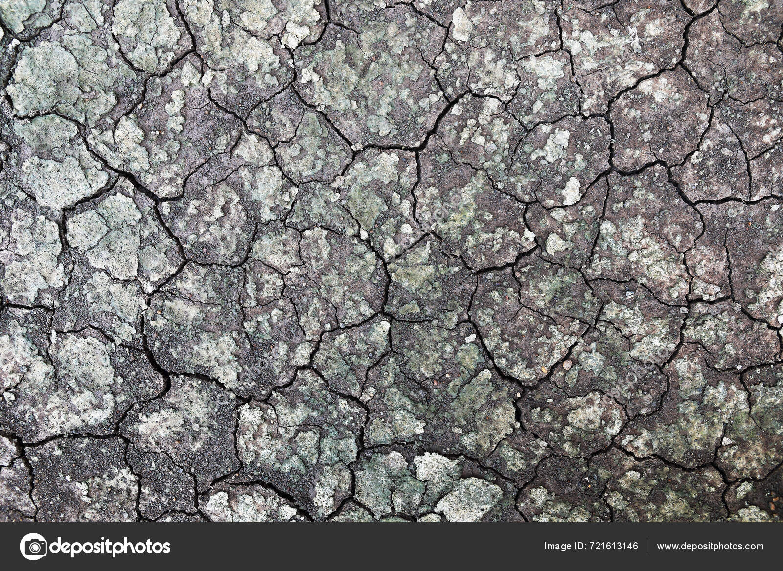 Wet Cracked Ground Pattern Background — Stock Photo © enJoyiStyle ...