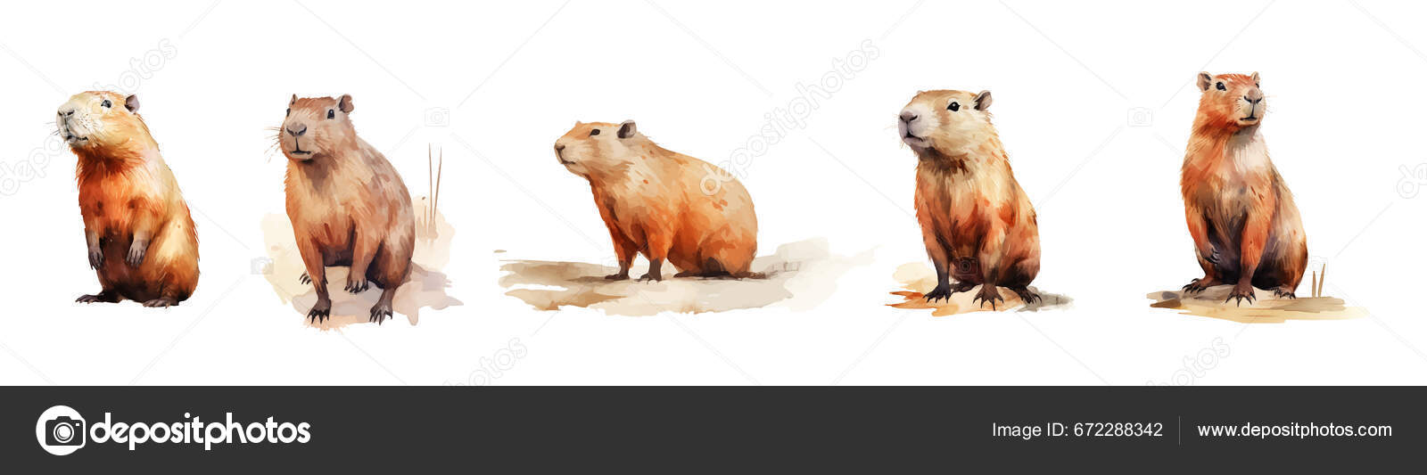 Satu Set Capybaras Lucu Dalam Gaya Cat Air Pada Latar Vektor Stok oleh ...
