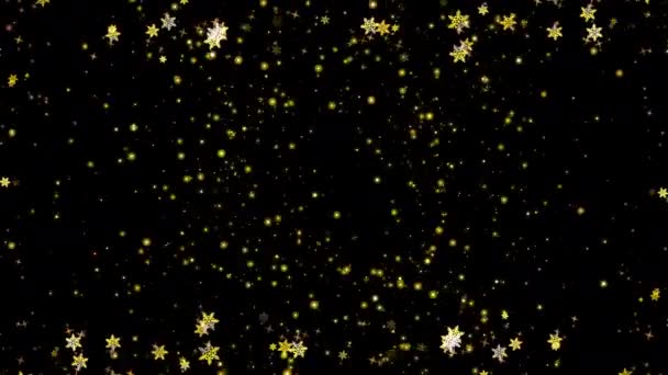 Snow Dust Particles Overlay Floating Glittering Particles Black ...