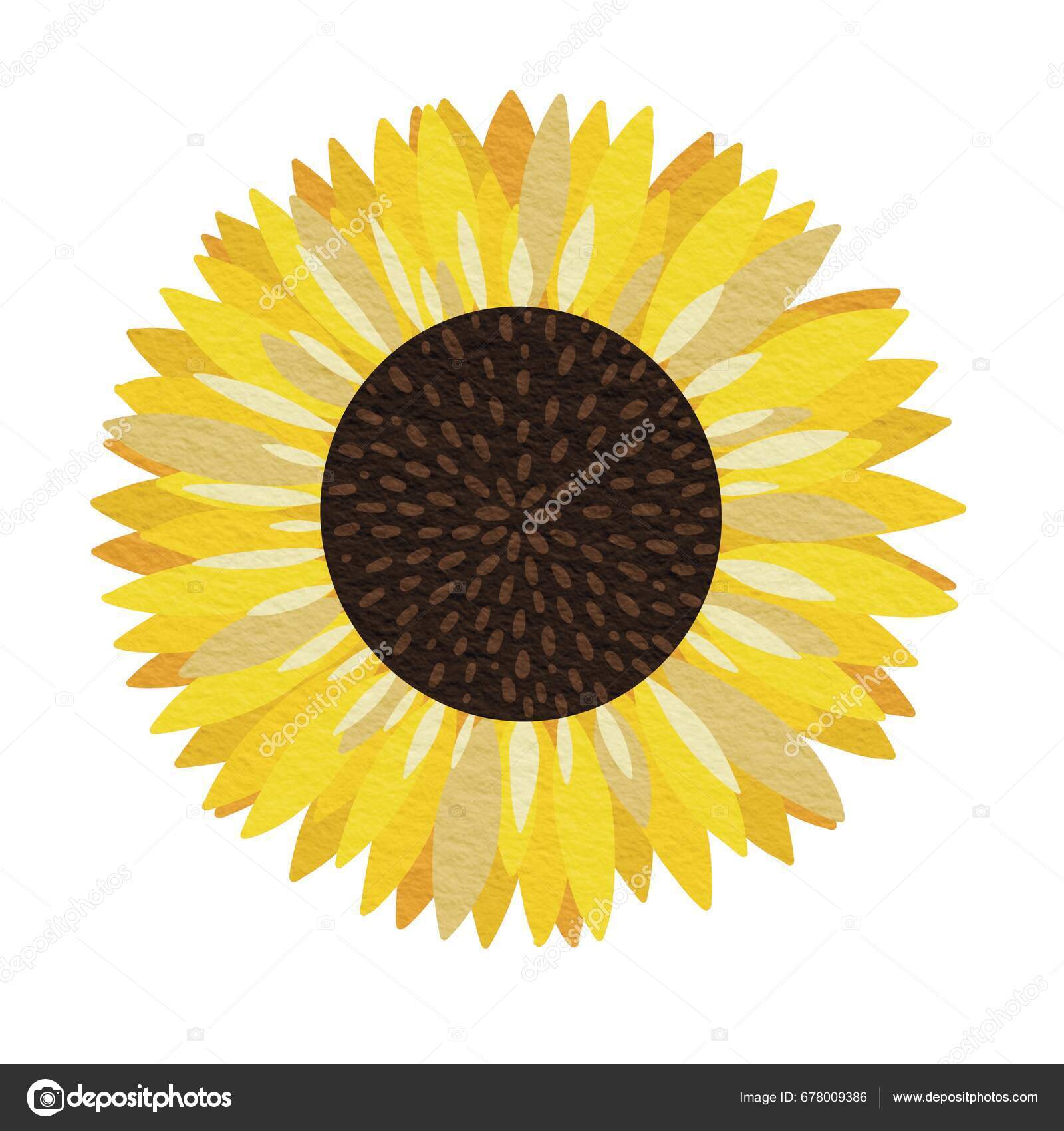 Sunflower Flat Design Watercolor Illustration Decoration Floral Nature ...