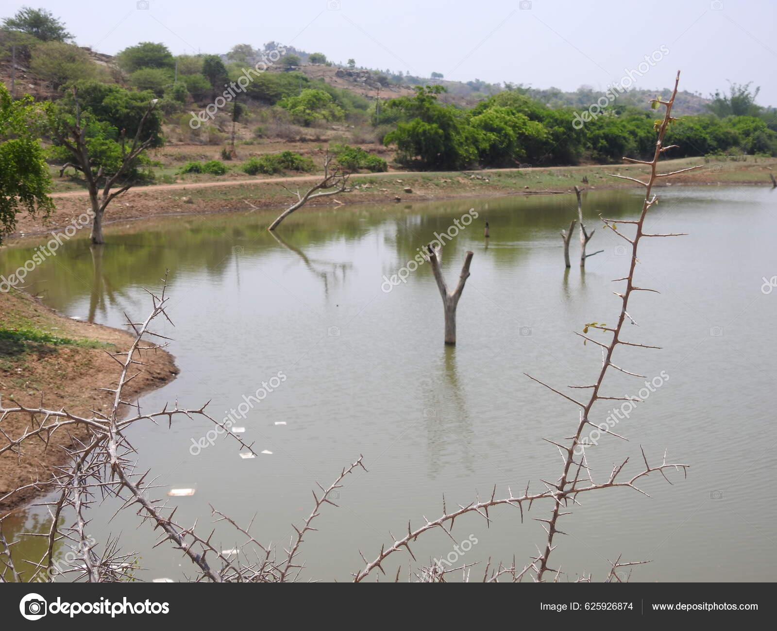 Closeup Beautiful Sir Visvesvaraya Dam Back Water Ghati Subramanya ...