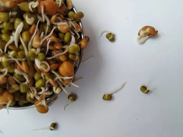 Leguminosas germinadas Fotos de Stock, Leguminosas germinadas Imagens ...