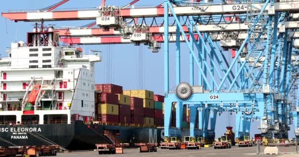 Msc Container Ship Anchored Loading Unloading — Stock Video ...