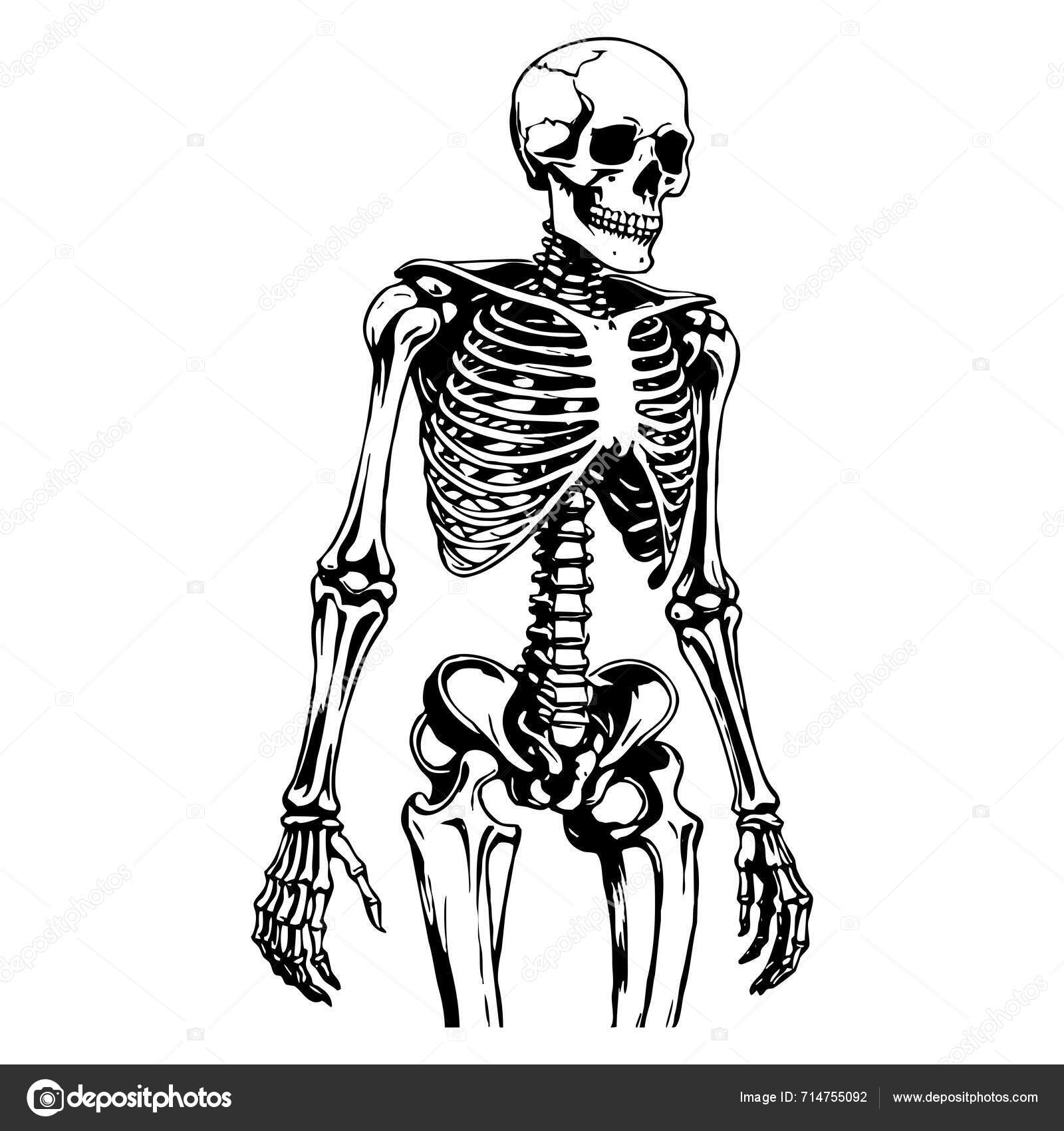 Skeleton Line Art Logo Design Use Graphics Shirt Print Tattoo — Stock ...