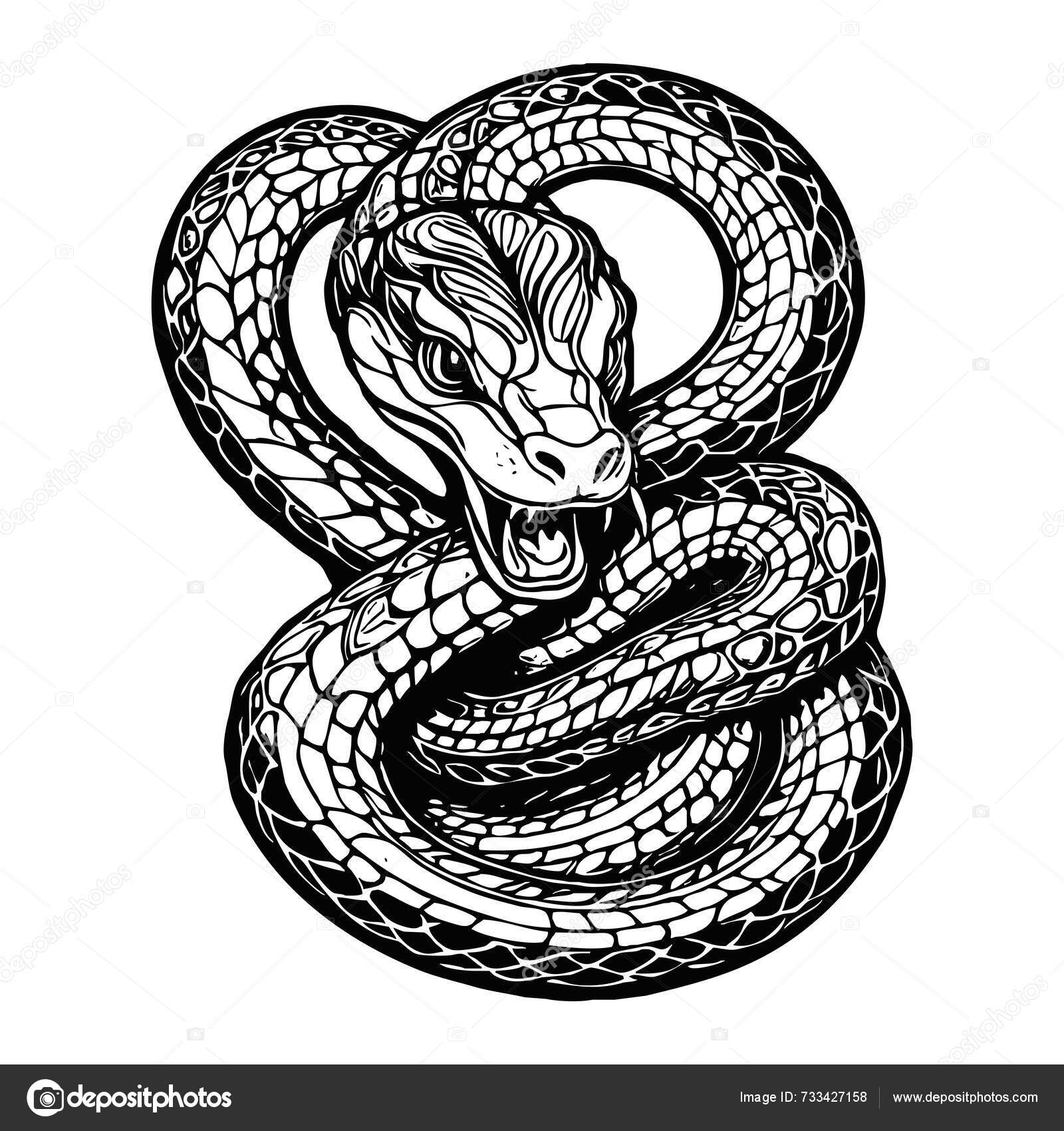 Snake Black White Illustration Pattern Tattoos Use Graphics — Stock ...