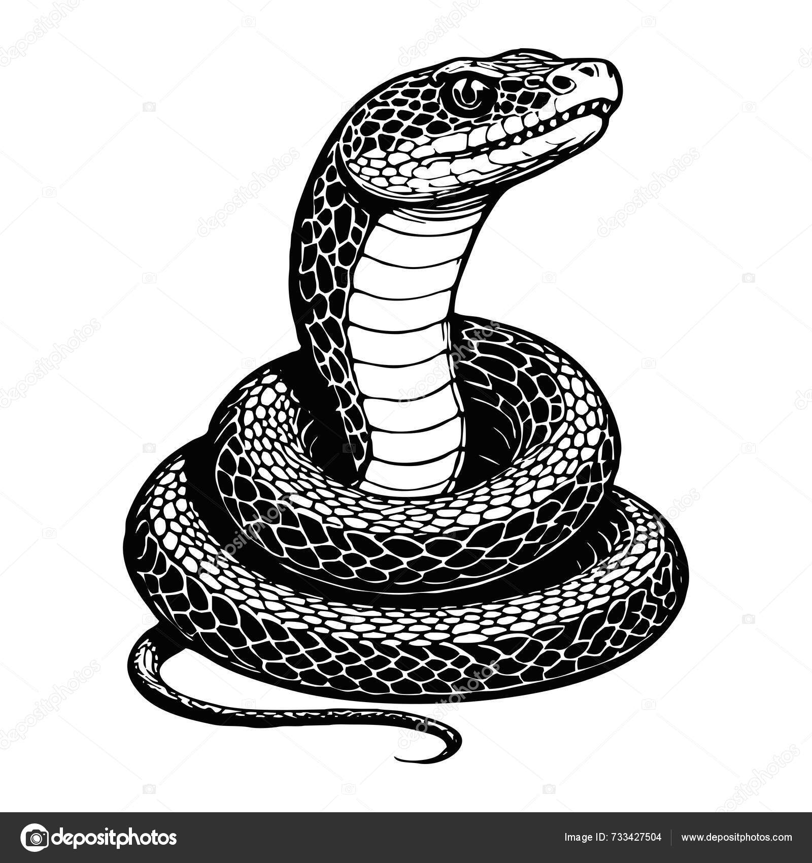 Snake Black White Illustration Pattern Tattoos Use Graphics — Stock ...
