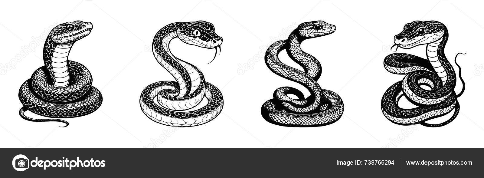 Snake Black White Illustration Pattern Tattoos Use Graphics — Stock ...
