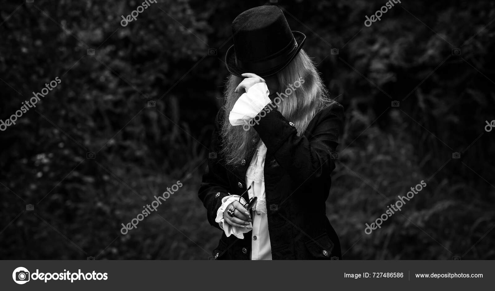 Classical European Goth Subculture Victorian Gothic Style Medieval ...