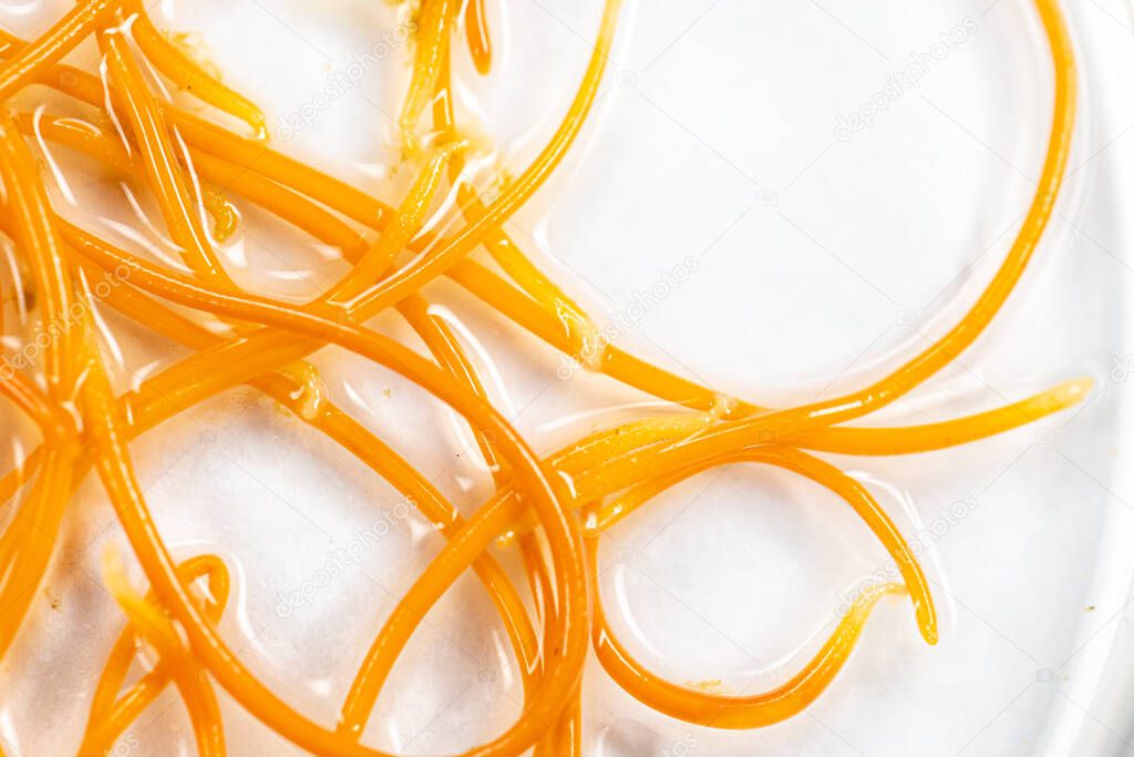 Estudio de helmintos parásitos (Trematodes) y Ascaris de peces bajo un ...