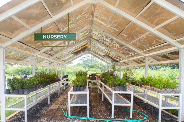 Farm nursery Stock Photos, Royalty Free Farm nursery Images | Depositphotos