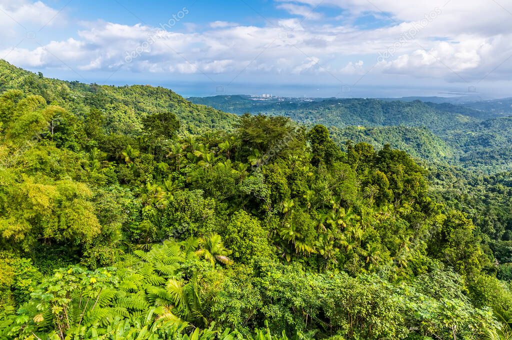 Una vista desde el pico de la montaña en la selva tropical en Puerto ...