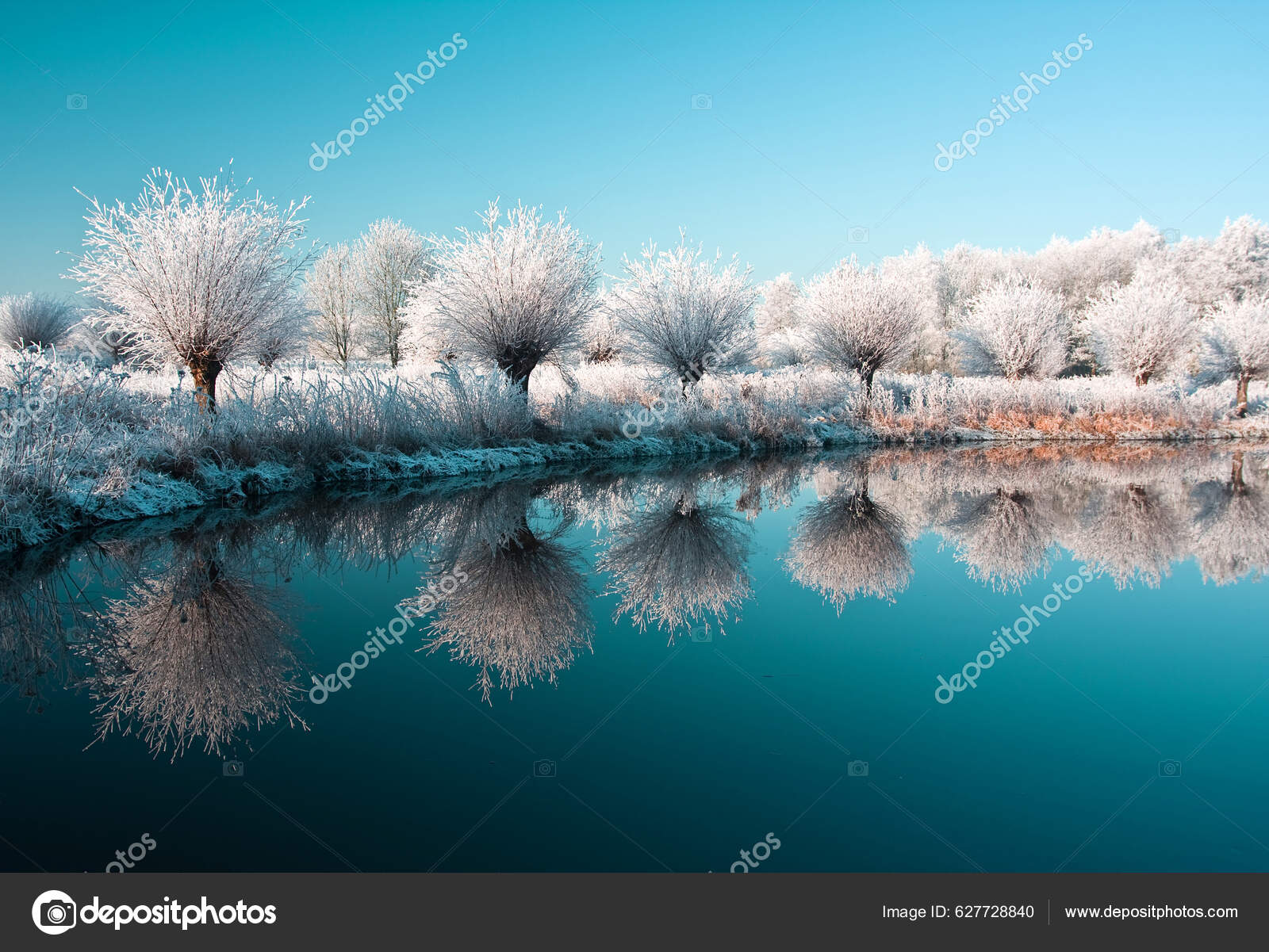 Frost Covered Trees Lake Winter — Stock Photo © SimonXT2 #627728840