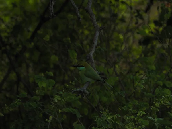 Male stalker Stock Photos, Royalty Free Male stalker Images | Depositphotos