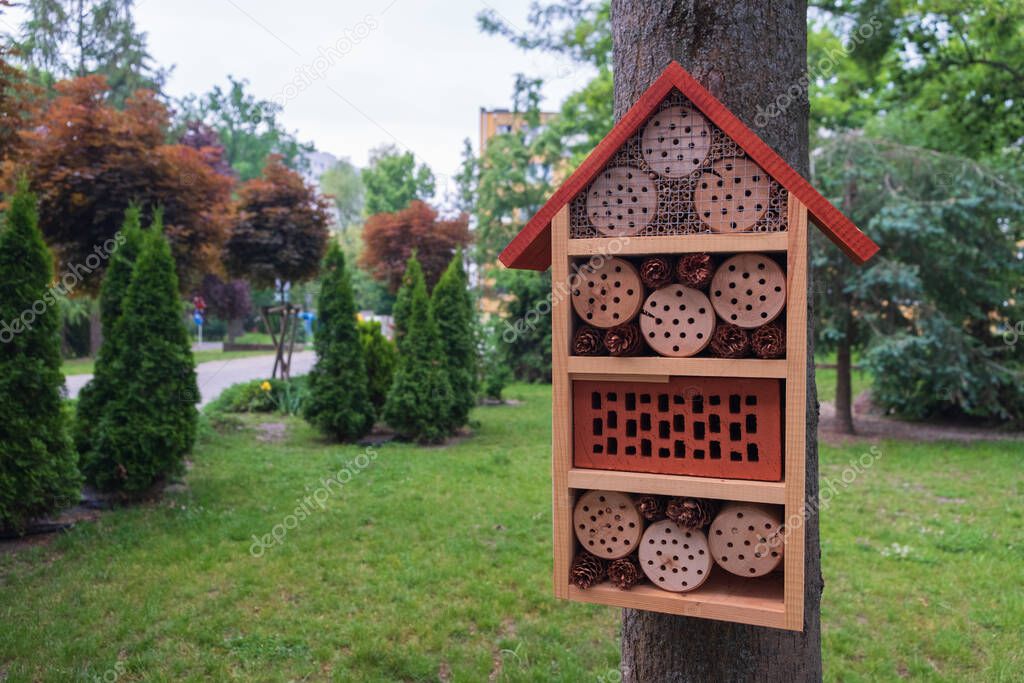 Casa para insectos beneficiosos - un m todo ecol gico de control de ...