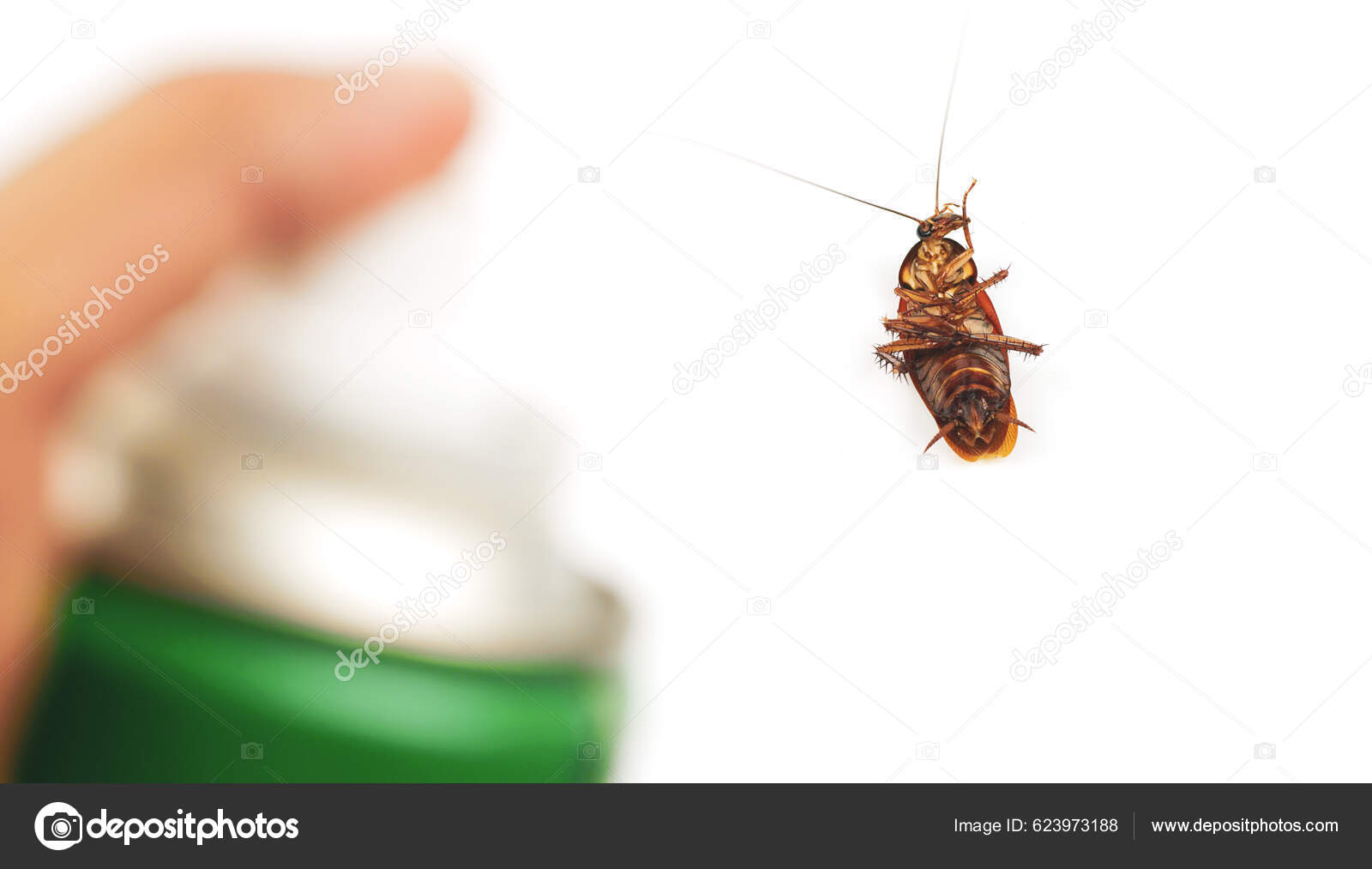 Cockroach Spray Spray Cans White Background Stock Photo by ©Oasishifi ...