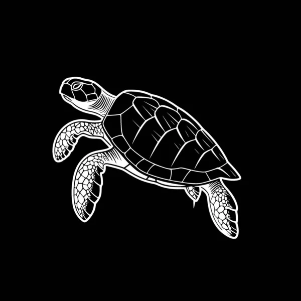 11,569,419 Turtle x ray Vector Images | Depositphotos