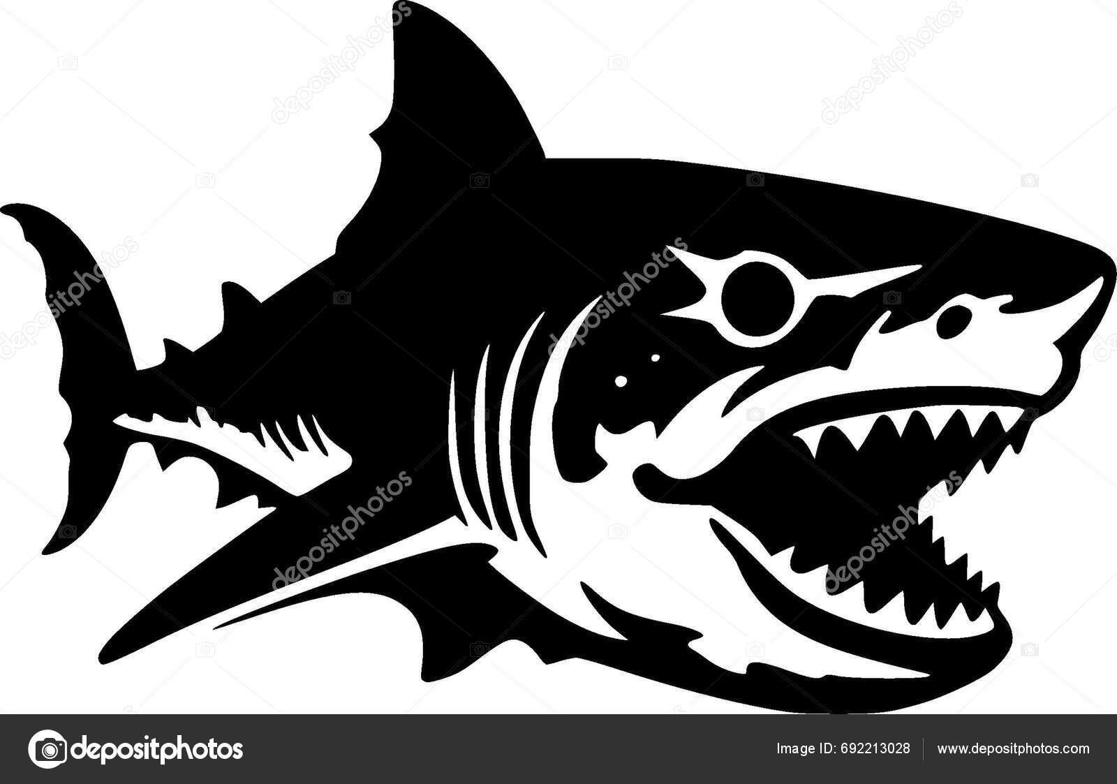 Haj Illustration Sort Hvid Vektor Stock-vektor af ©CreativeOasis 692213028