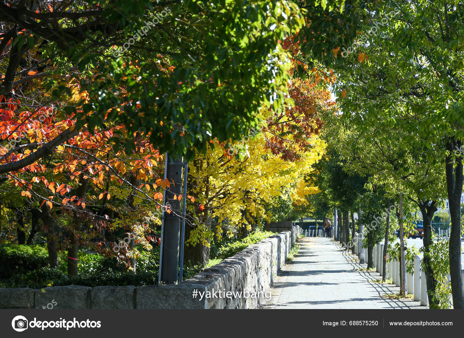 Osaka Japan November 2017 Fall Foliage Season Osaka Castle Has – Stock ...