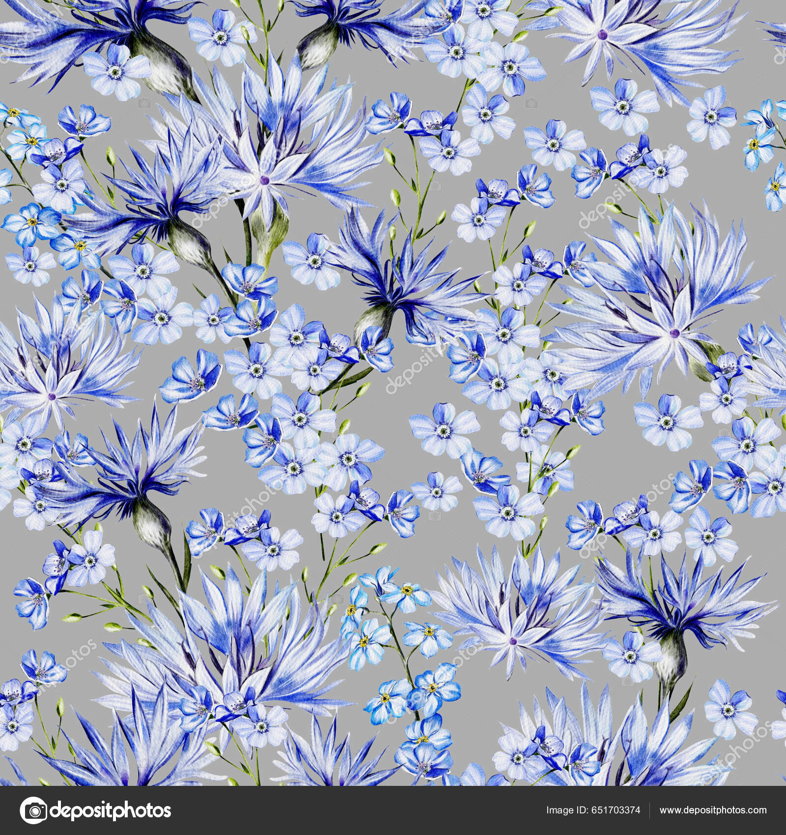 Patrón Sin Costuras Acuarela Con Olvidarme Flores Acianos Ilustración Ilustración de archivo de ...