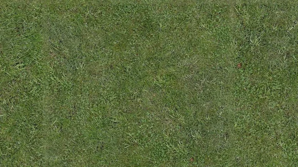 Pasto de potrero Stock Photos, Royalty Free Pasto de potrero Images ...