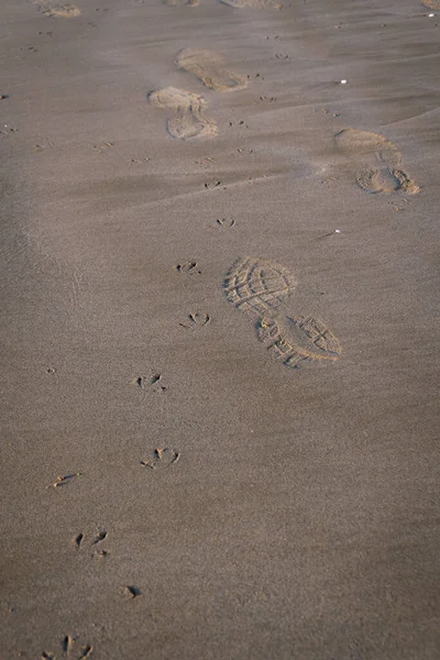 Huellas manos Stock Photos, Royalty Free Huellas manos Images ...