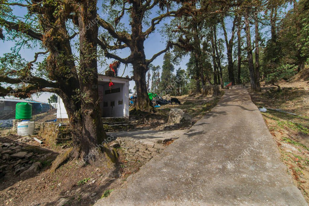 Scenic view of trees , path passing through Himalayan mountains at ...