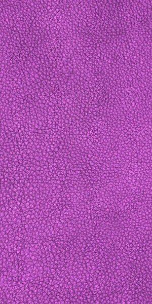 Purple Seamless Texture