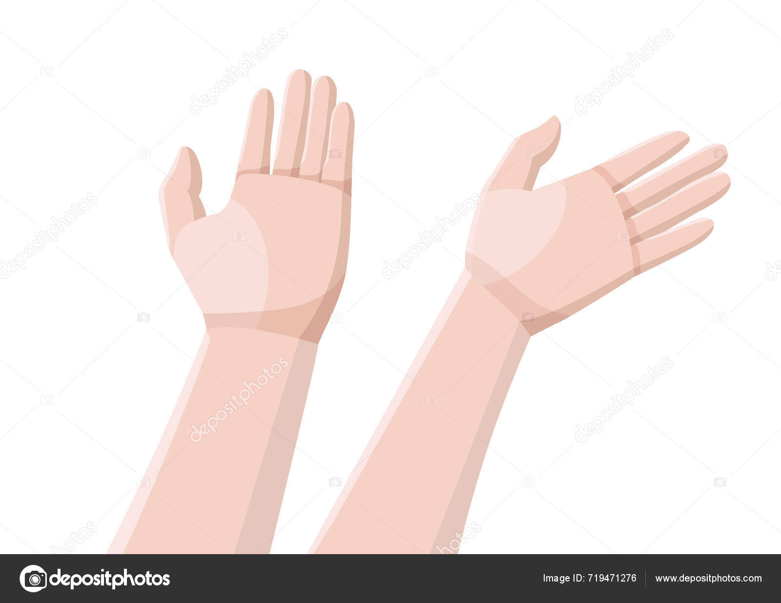 Hand Isolated White Background Illustration Vector — Stock Photo ...