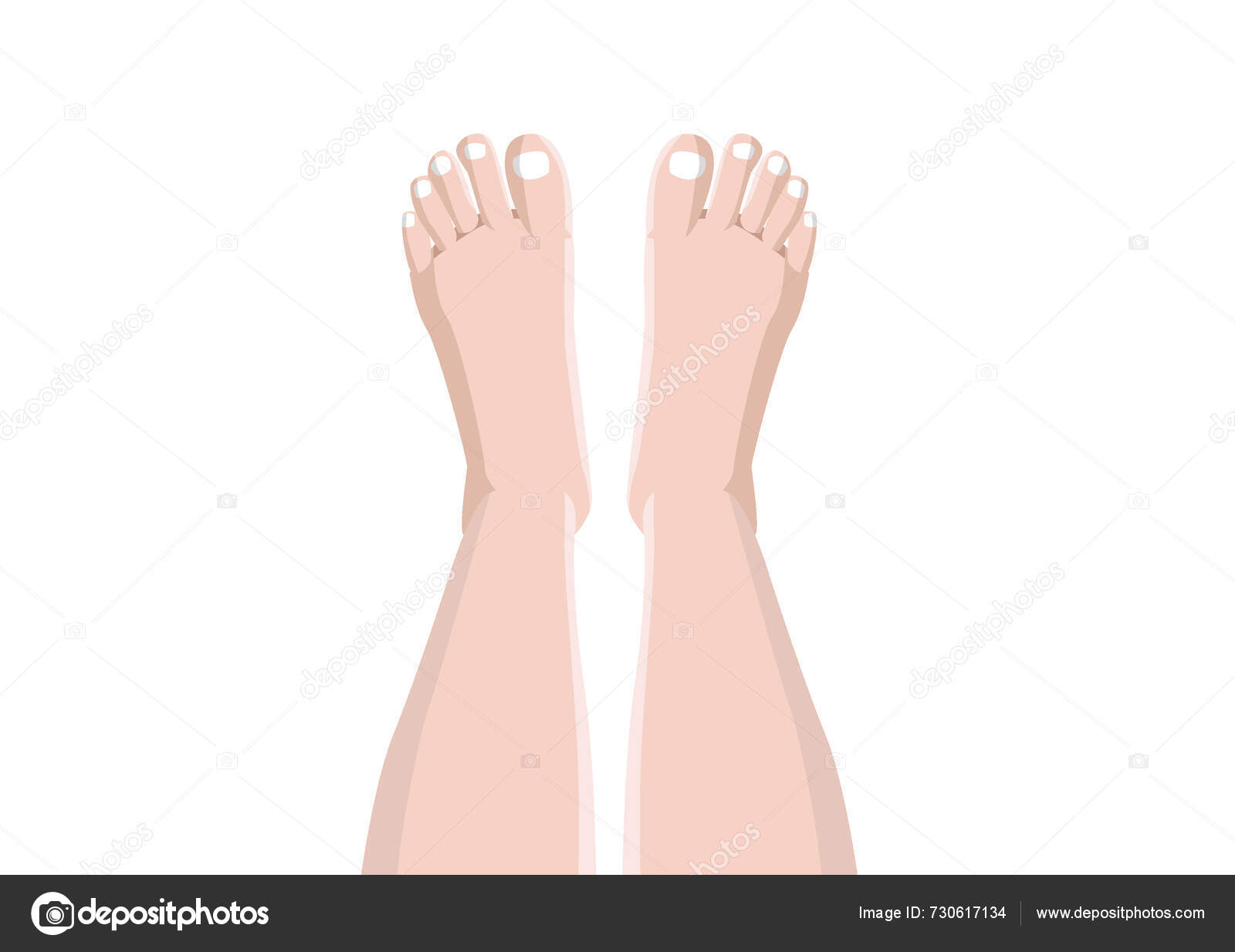 Leg Isolated White Background Illustration Vector — Stock Photo ...