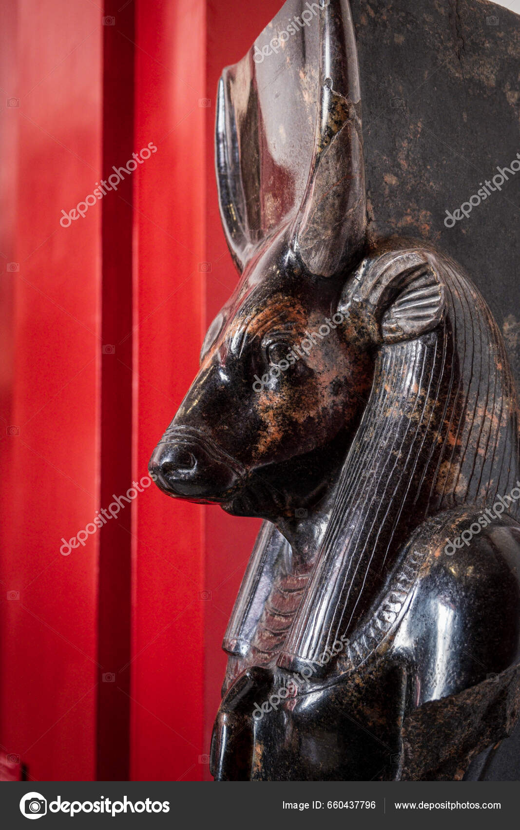 Torso God Bull Apis Granite Memphis New Kingdom Musei Vaticani — Stock ...