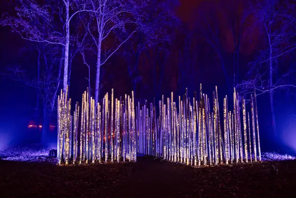 Enchanting Nightscape of Milan Light Cycles: Vibrant Art Installation ...