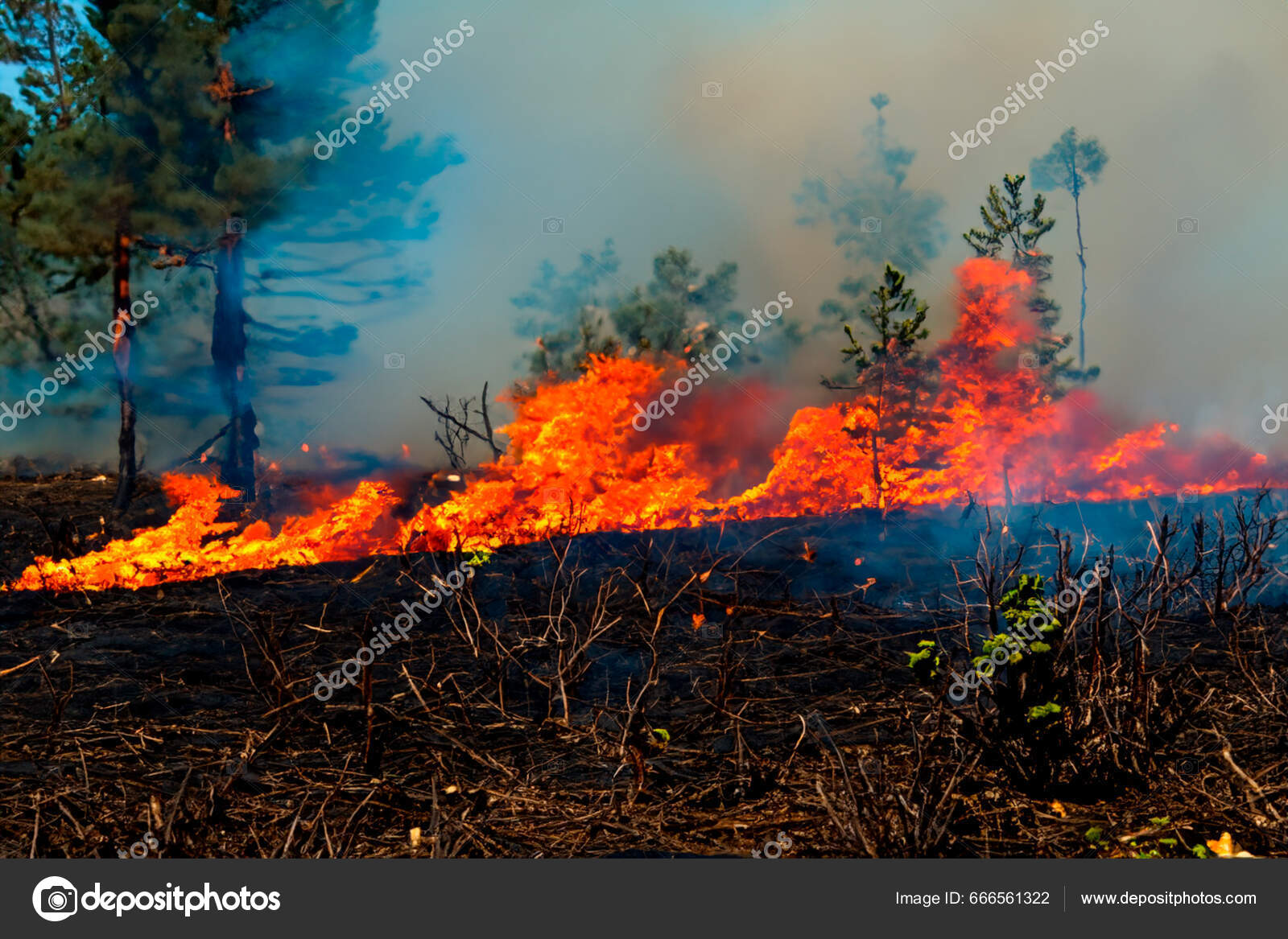 Forest Fire Canada Canadian Wildfires Keep Burning Forest Fire Progress ...
