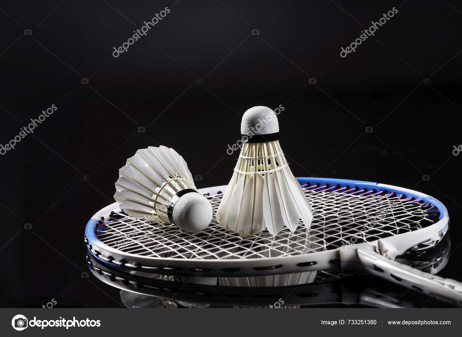 Badminton Shuttlecocks Badminton Racket Olympic Games 2024 Olympic ...