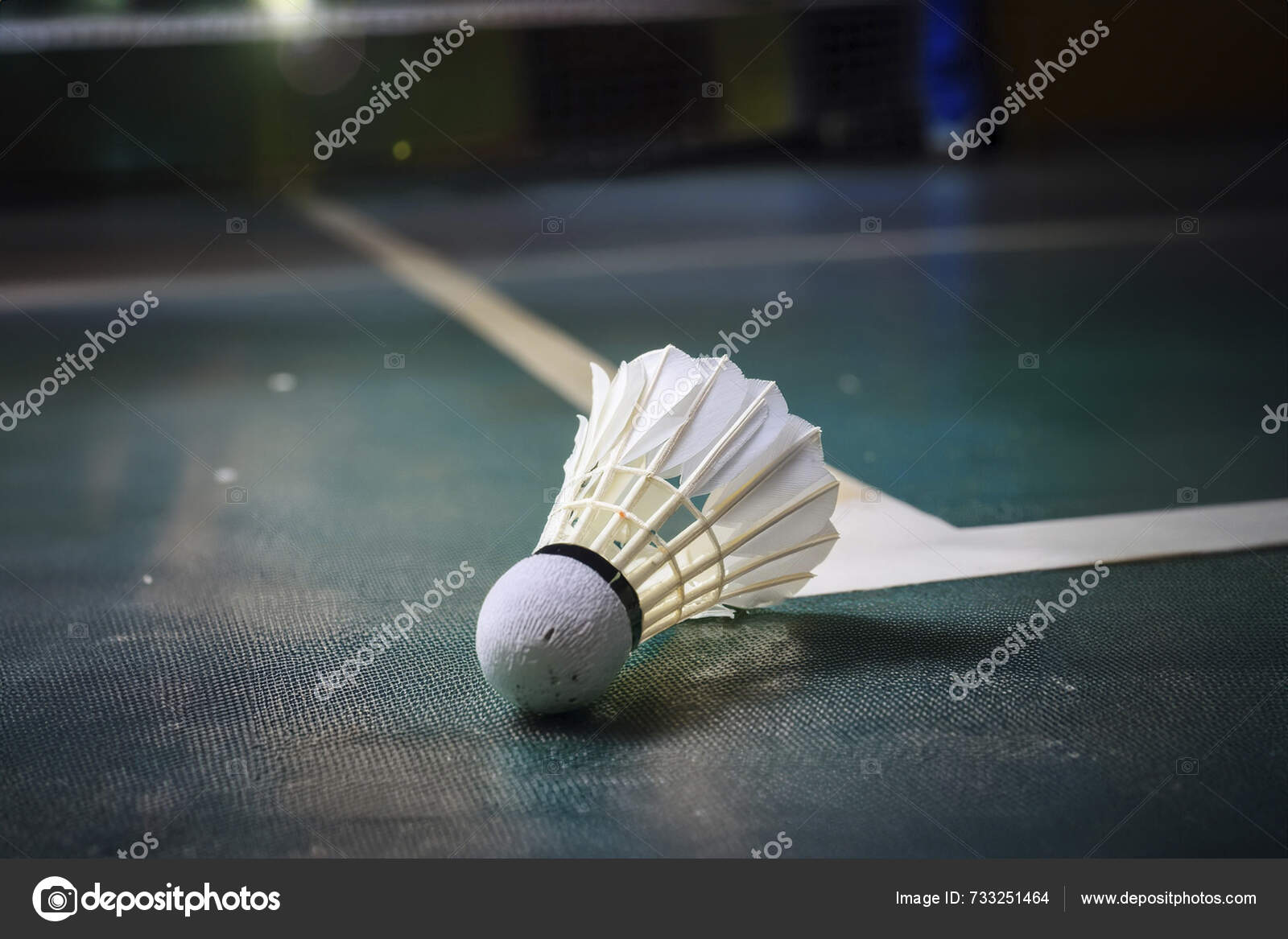 Badminton Shuttlecocks Badminton Racket Olympic Games 2024 Olympic ...