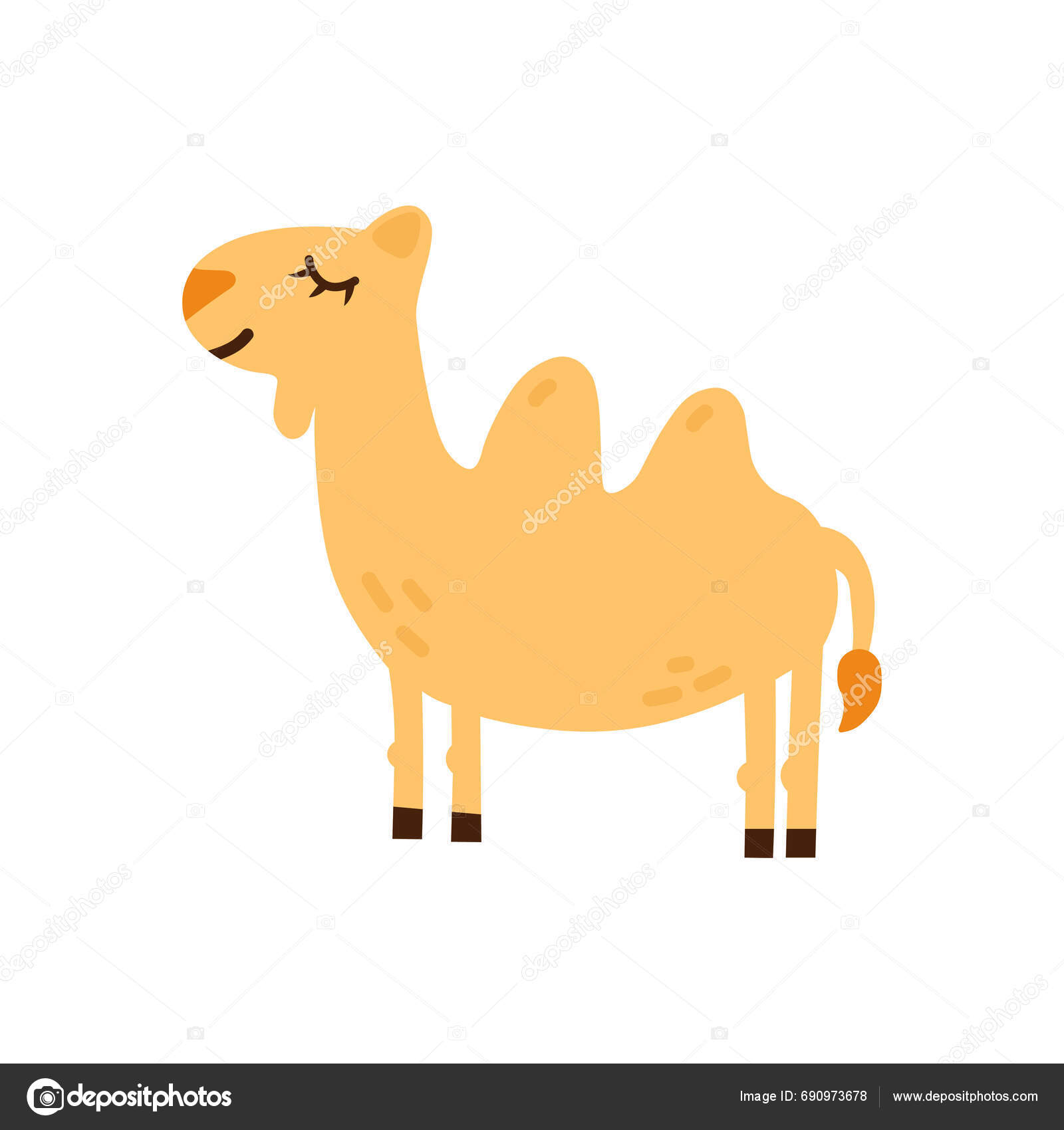 Cartoon Camel Animal Isolated White Cute Character Vector Zoo Wildlife ...