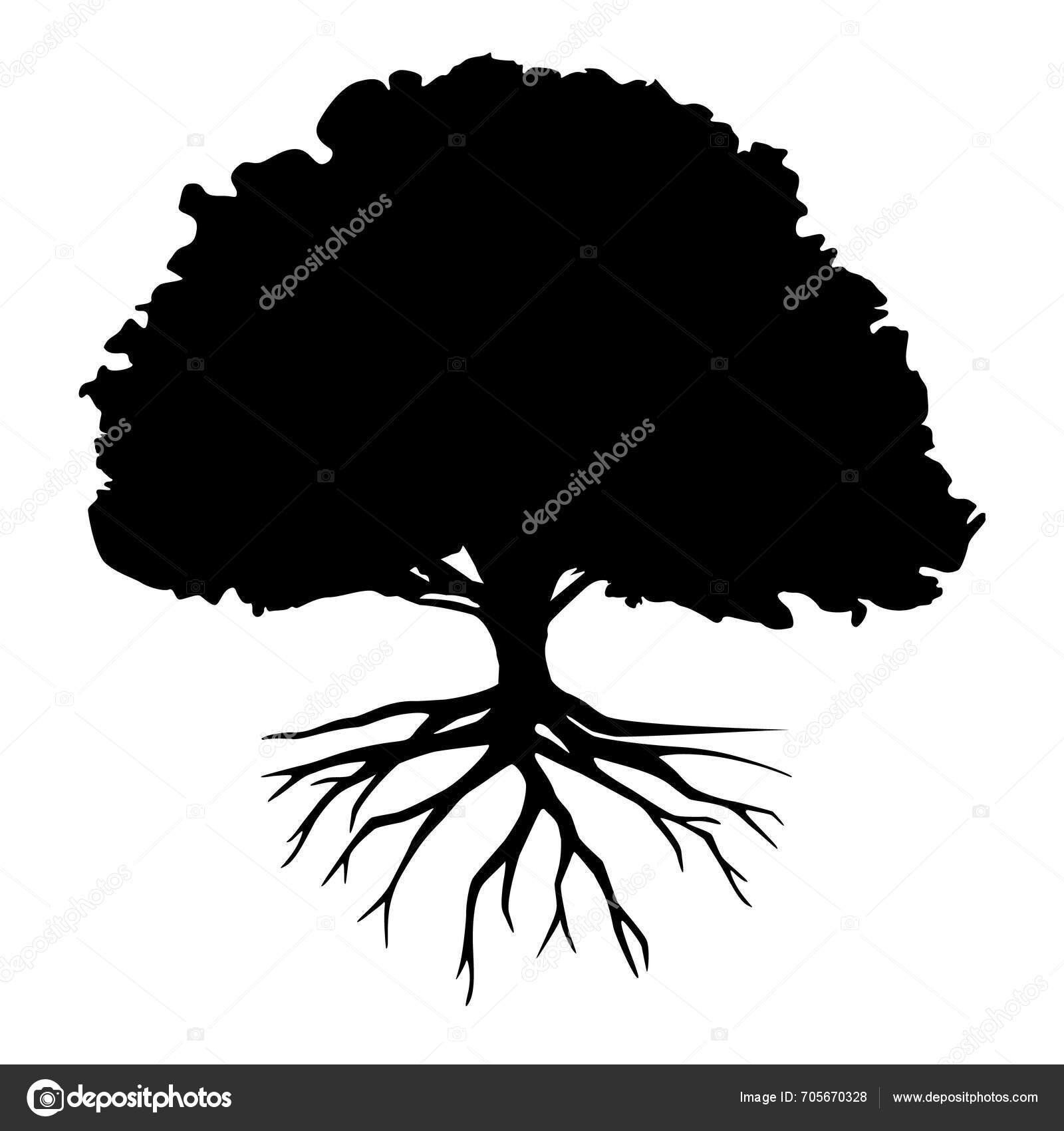 Black Silhouette Oak Tree Roots Isolated White Background Vector ...