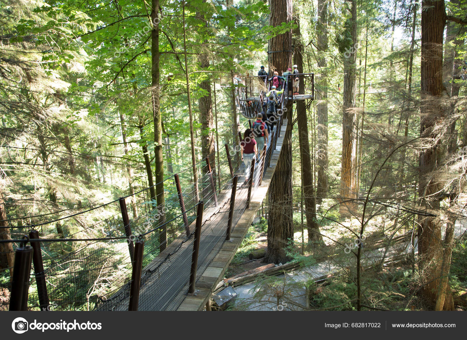 Beautiful View Capilano Suspension Bridge Park Vancouver Canada – Stock ...