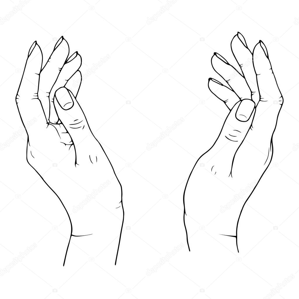 Dos manos dibujado ilustraci n vector lineal 2024