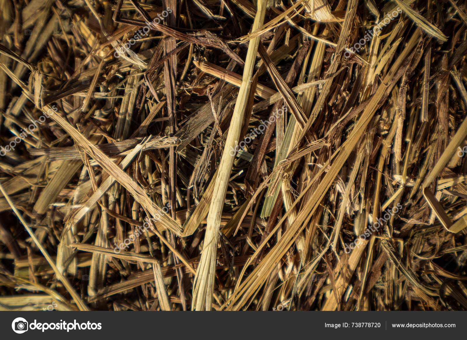 Compressed Hay Straw Photo Background Wallpaper — Stock Photo ...