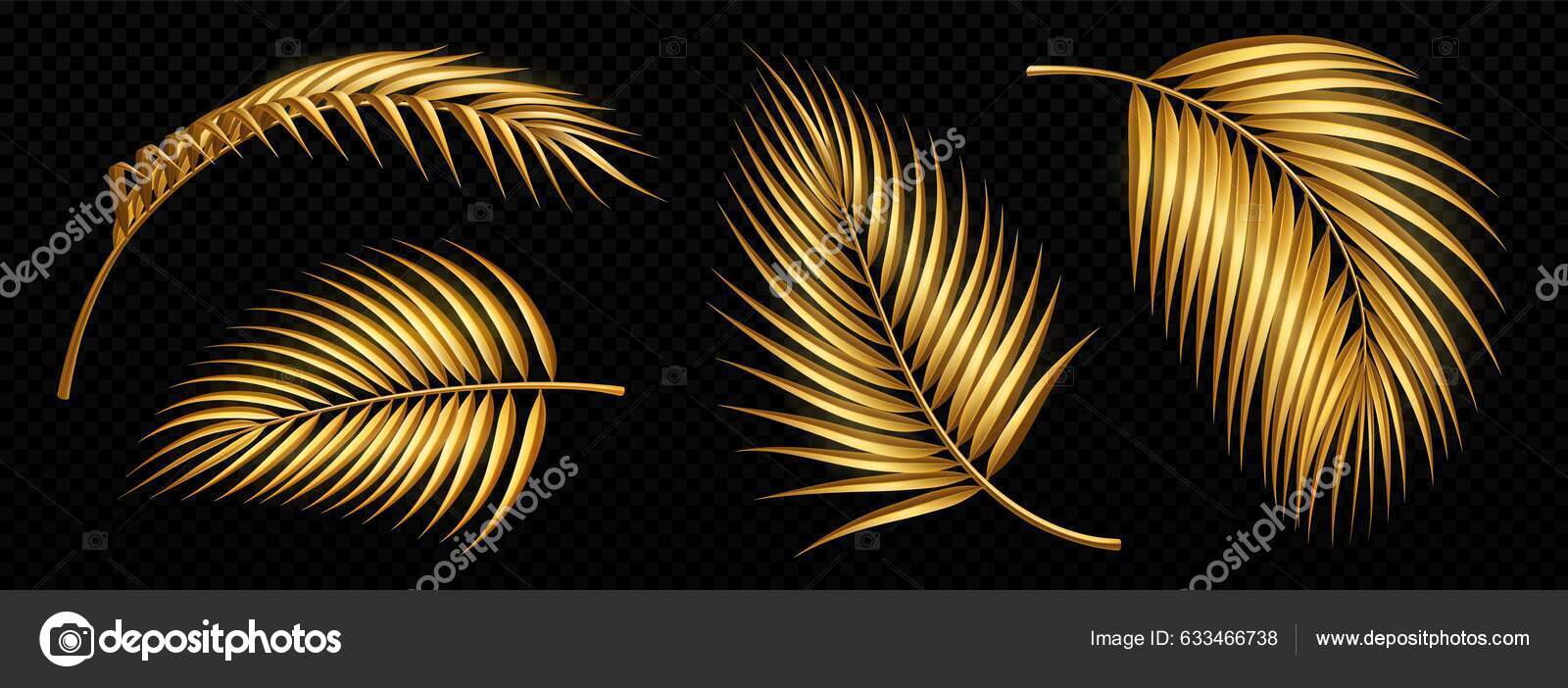 Set Golden Palm Tree Leaves Isolated Black Transparent Background ...