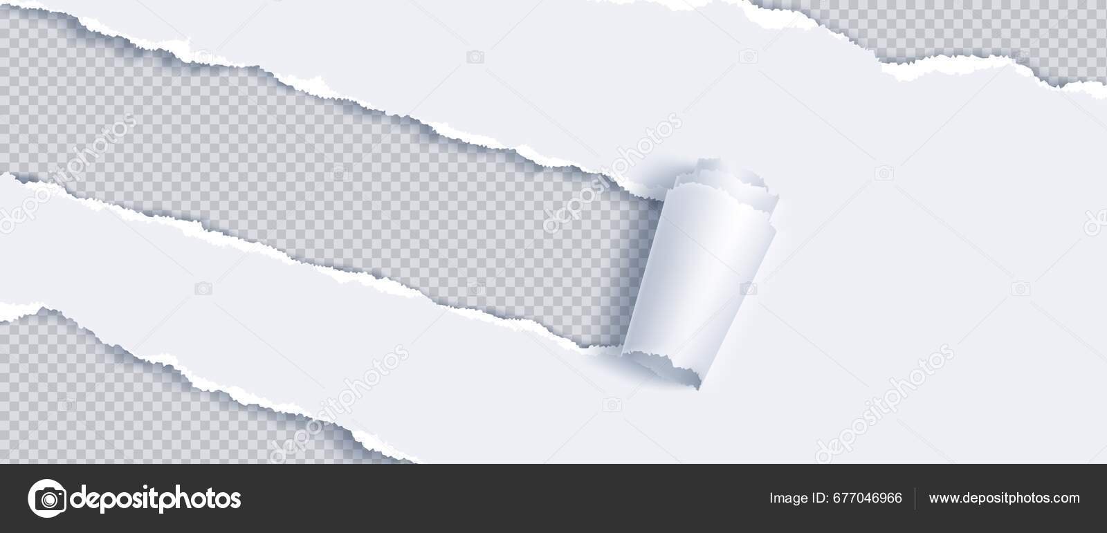 Torn Paper White Edge Txture Curl Border Background Rip Strip Stock ...