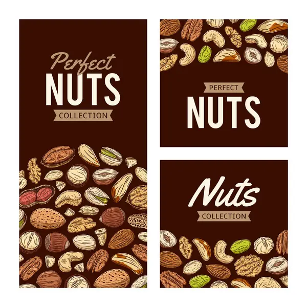 25,740,417 Mixed nuts Vector Images | Depositphotos