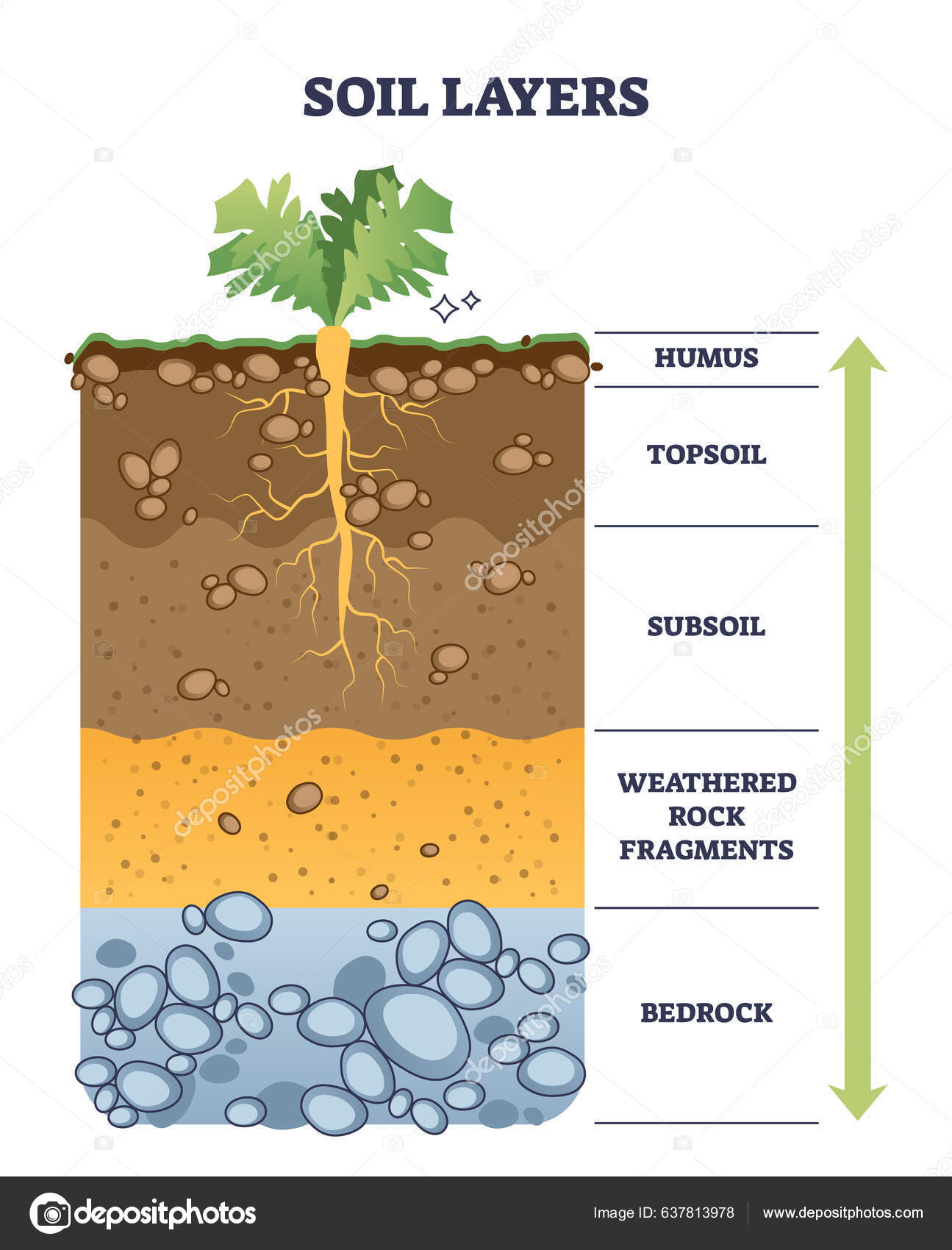 Layers Of Soil Clipart