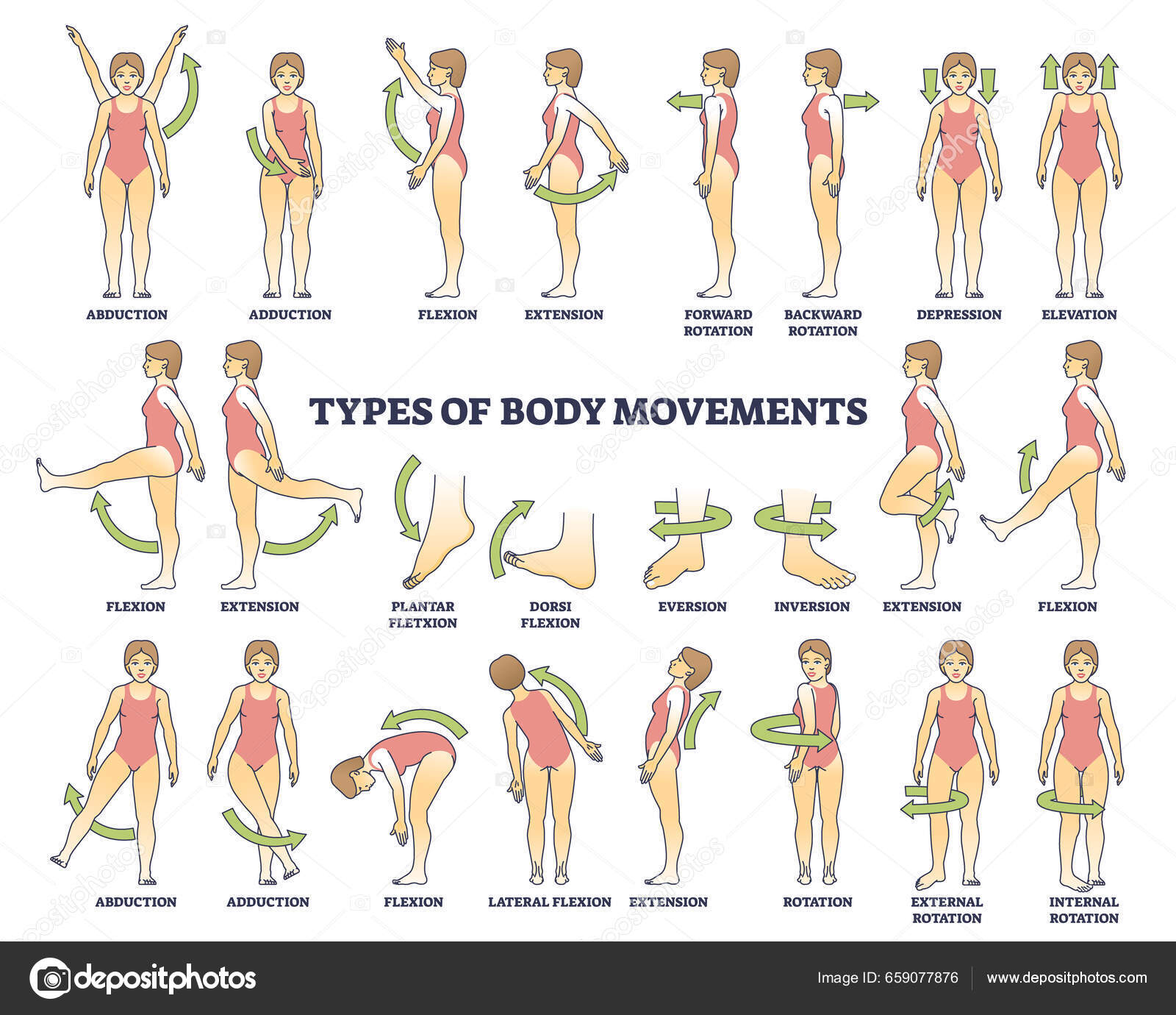 신체 움직임 다이어그램
