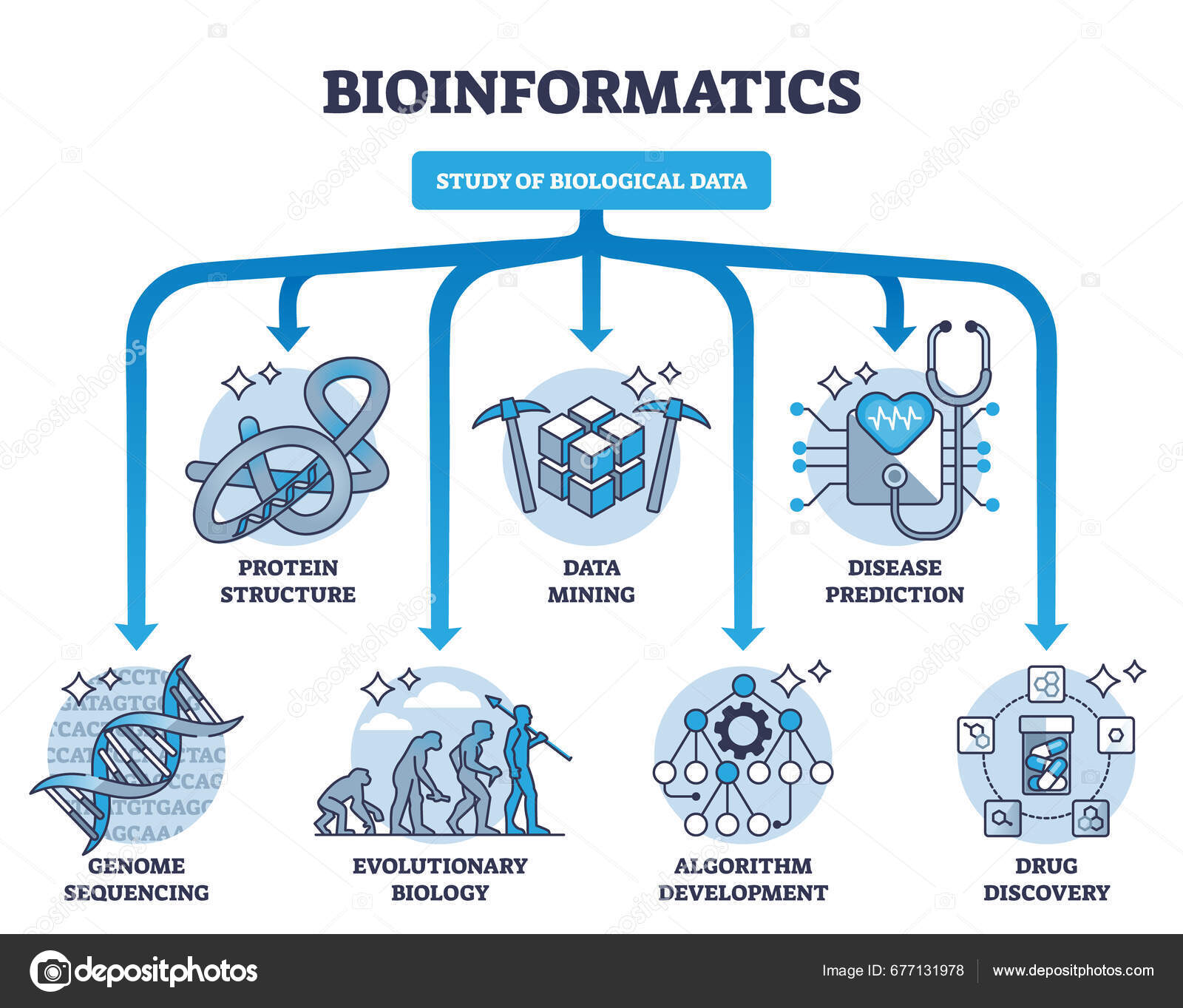 Bioinformatika Adalah Studi Dan Penelitian Diagram Garis Besar Data Biologis Vektor Stok oleh ...