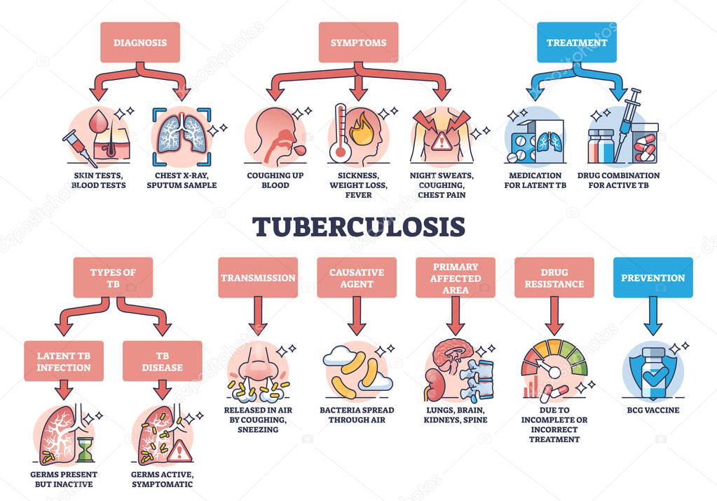 Aspectos Clave Tuberculosis Enfermedad Respiratoria Pulmonar Diagrama ...