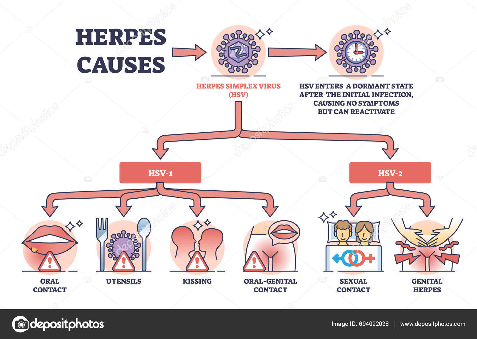 Herpes Causas Pele Médica Vírus Hsv Diagrama Contorno Transmissão Lista ...