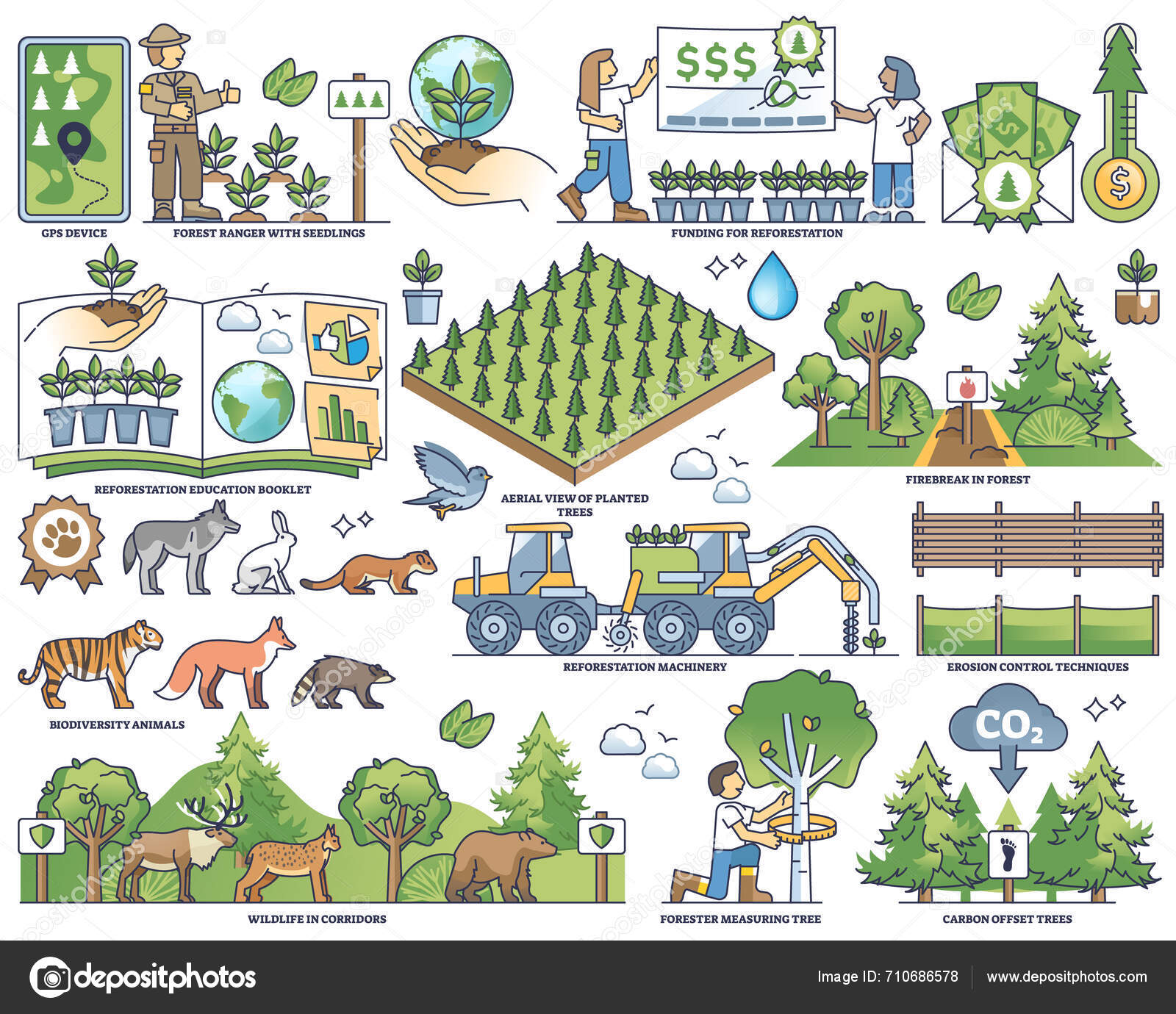 Reforestation Growth Ecosystem Management Outline Collection Set ...